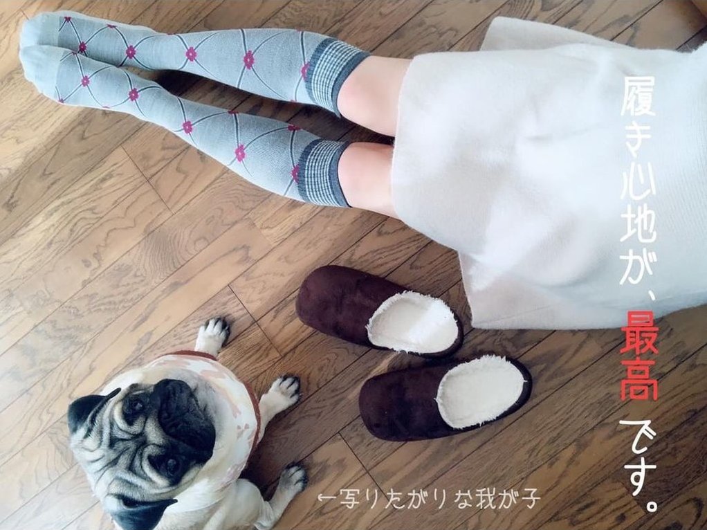 【Voice】ELEVATION/ライフスタイル着圧/しっかりサポート – Sockwell Japan